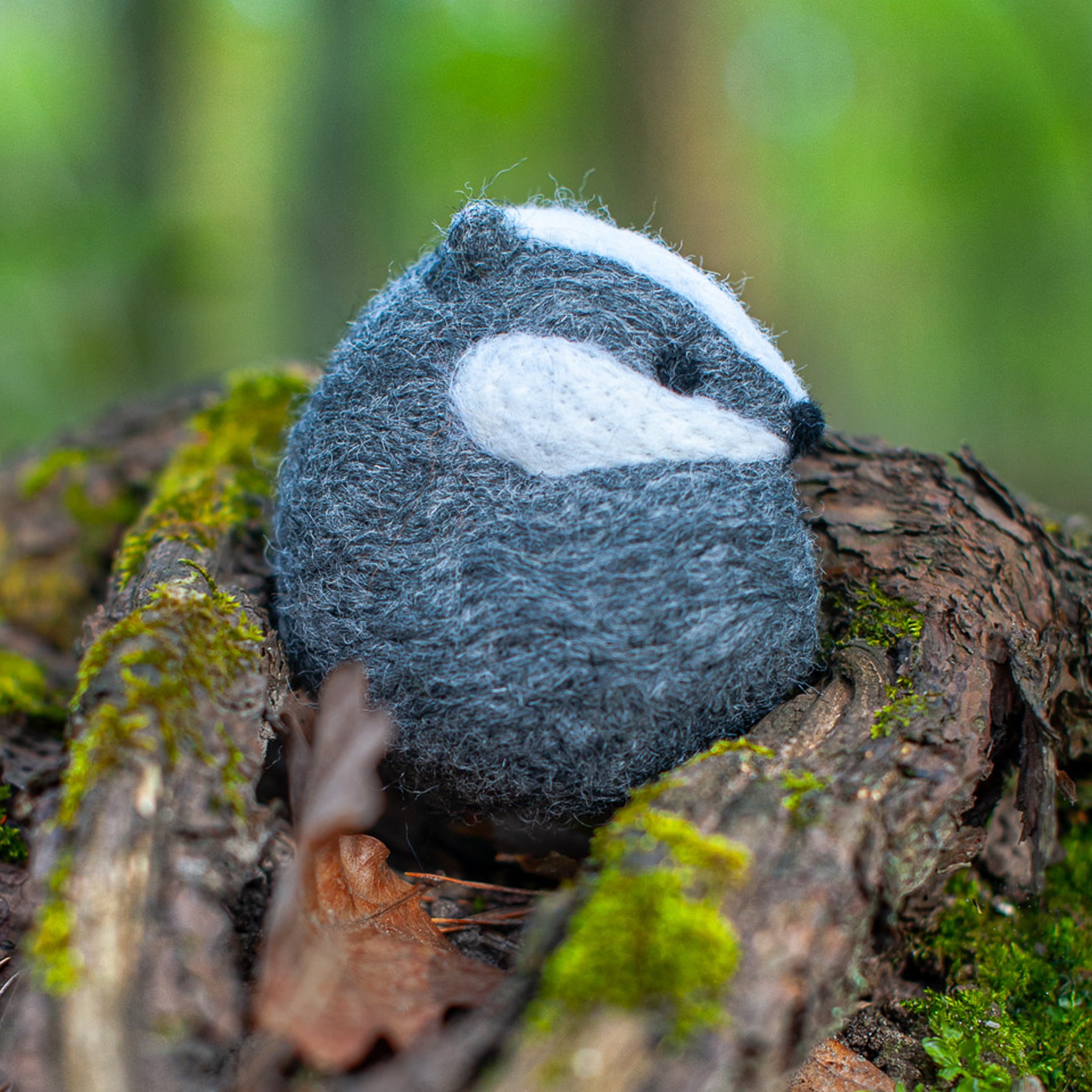 Badger Felting Kit — Thorsten van Elten